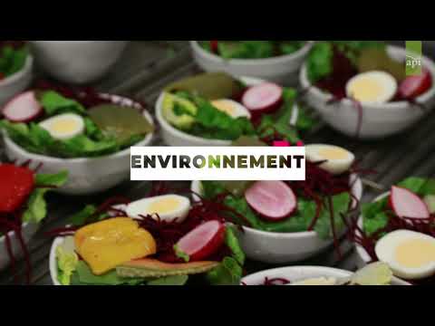 API RESTAURATION - Hainaut Horizons